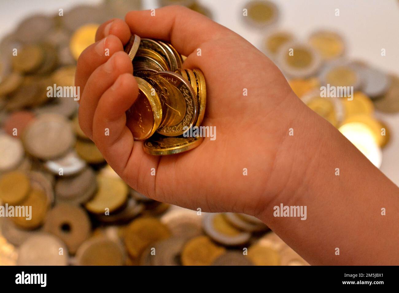 A pile of coins in the hand of a child, stack of Egyptian money coins ...