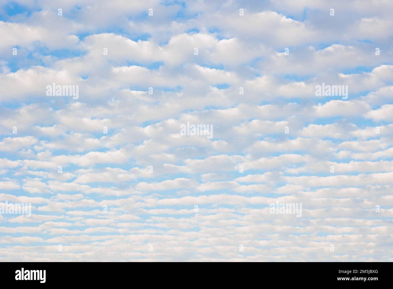 Cirrocumulus clouds forming over Northumberland on a lovely summers day ...