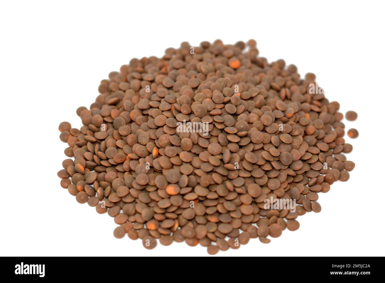 Pile of brown lentils (Lens culinaris or Lens esculenta), an edible ...