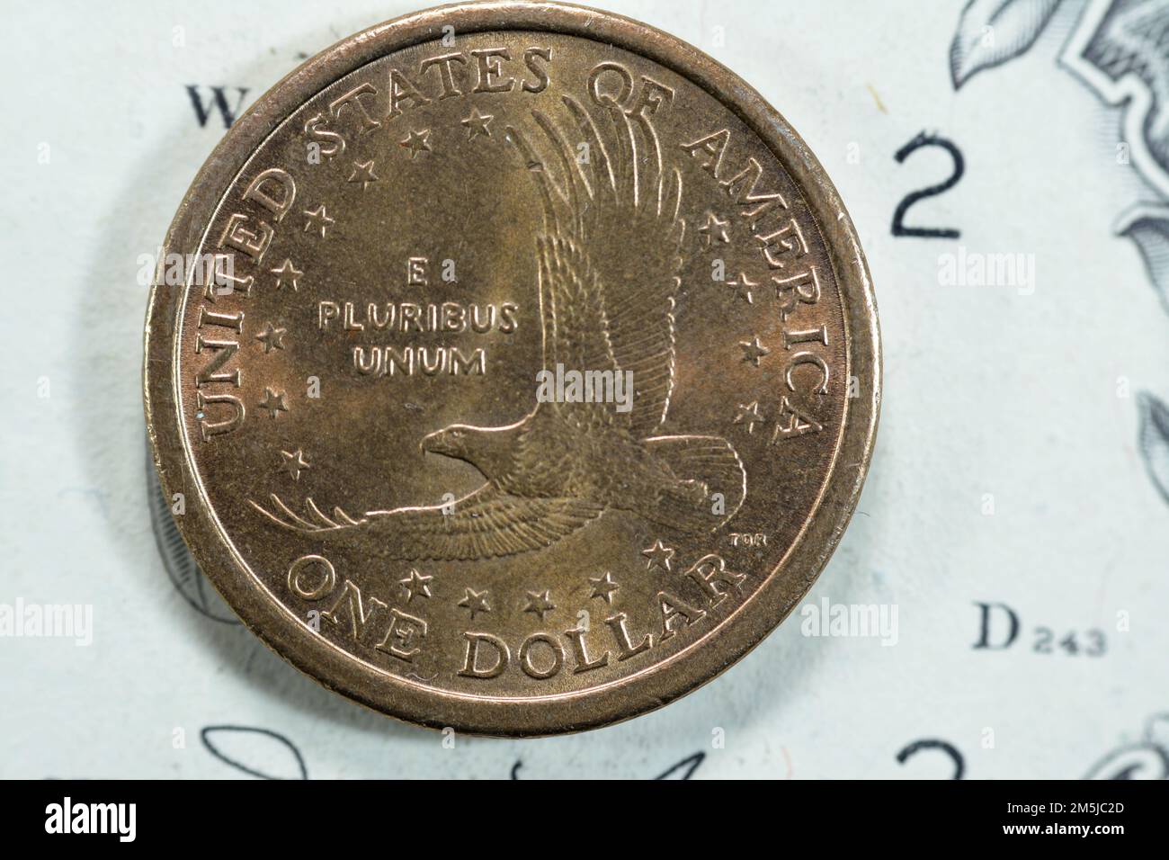 Bald eagle in flight from the reverse side of The golden Sacagawea ...