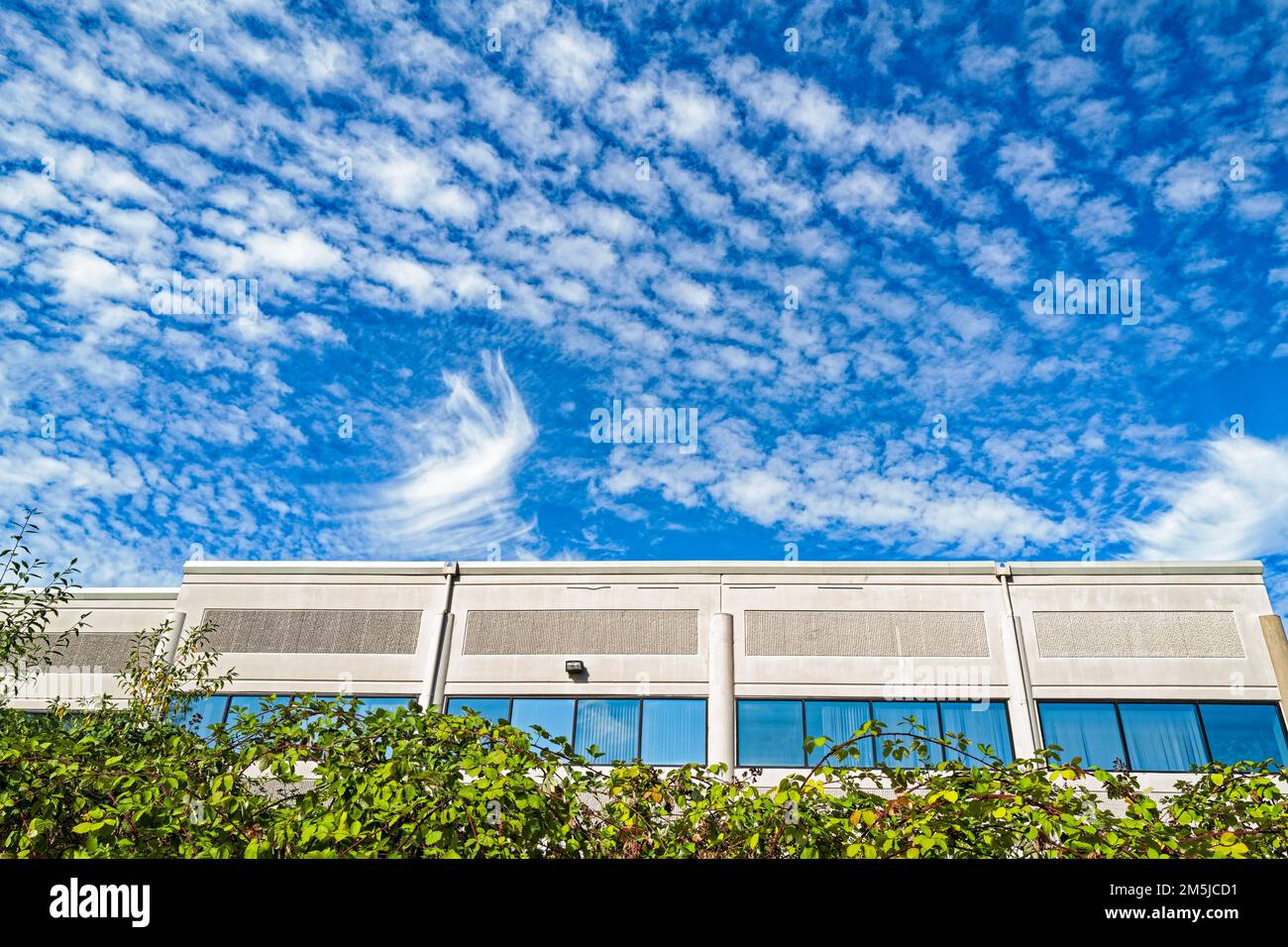 Altocumulus clouds hovering over a modern office building on a bright ...