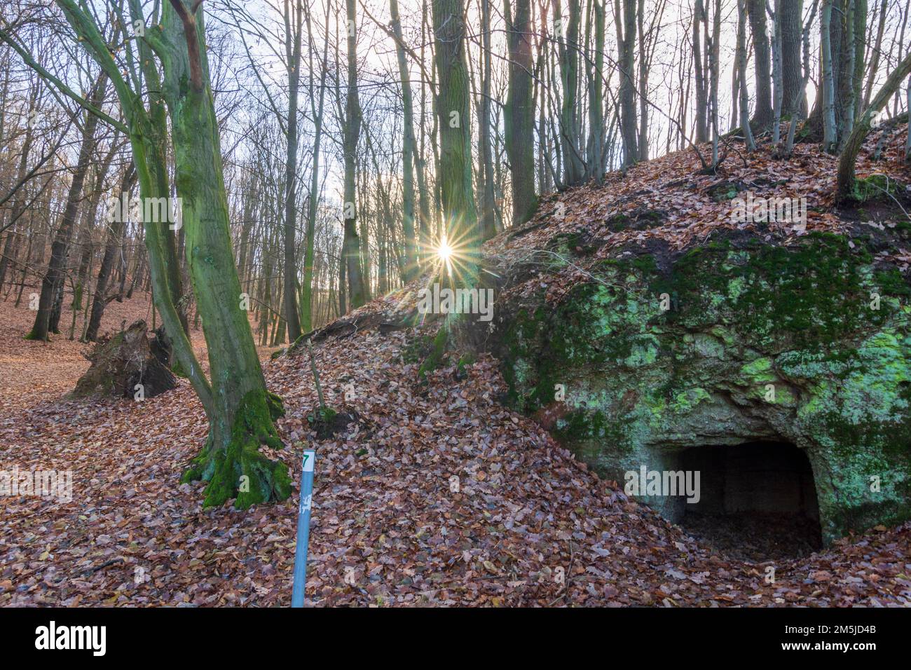 Freital: Kaitzbach Valley (Kaitzgrund), cave in , Sachsen, Saxony ...