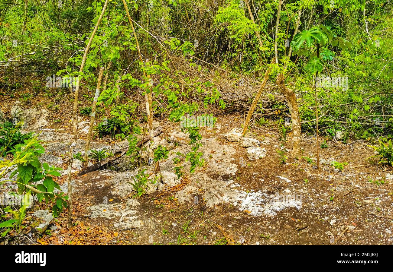 Walking trekking path at the amazing blue turquoise water and limestone ...
