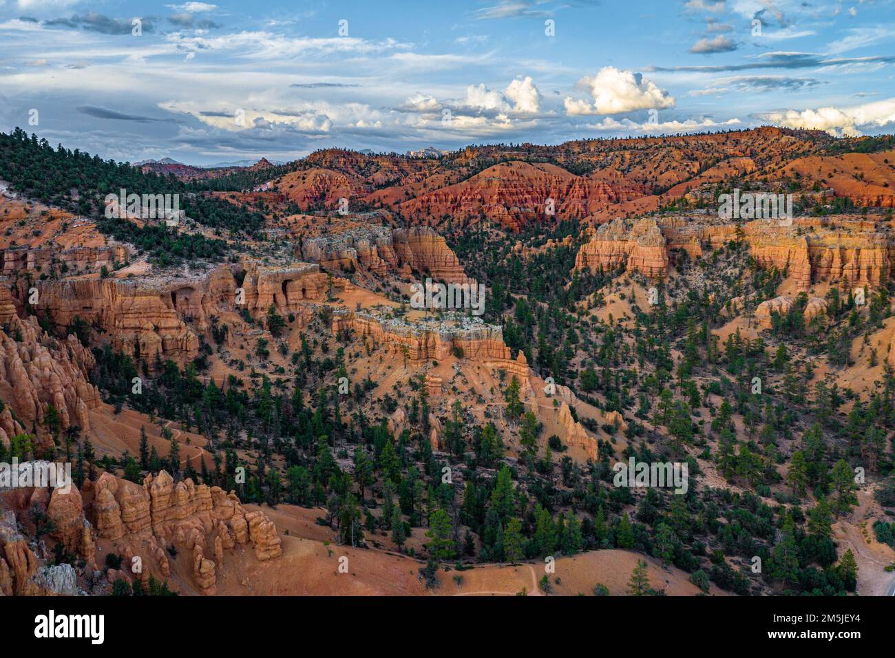 red canyon and forest landscape from above Stock Photo - Alamy