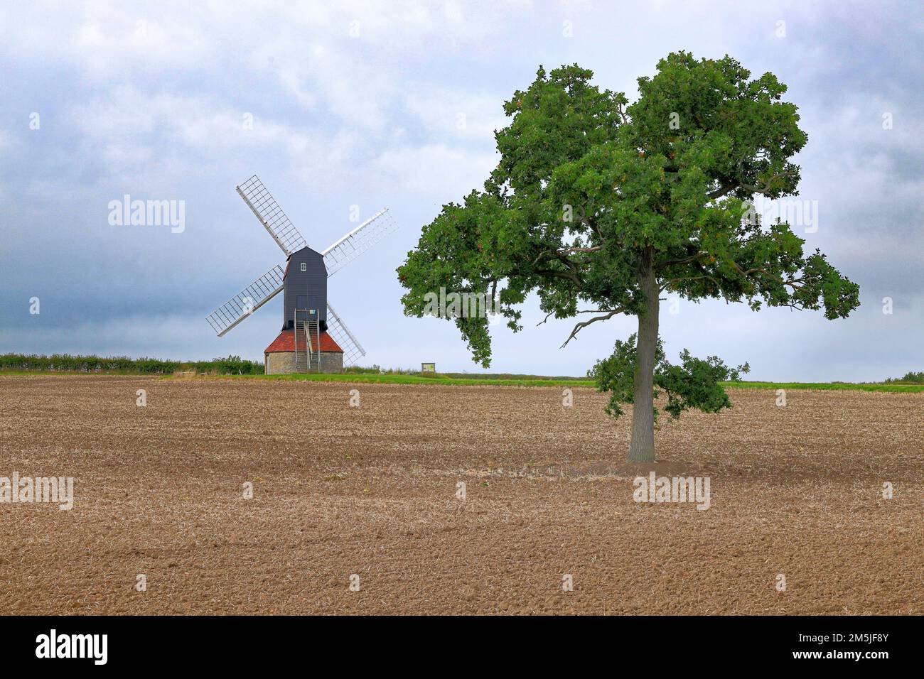 18th century windmill and lone tree in a field on farmland in the ...