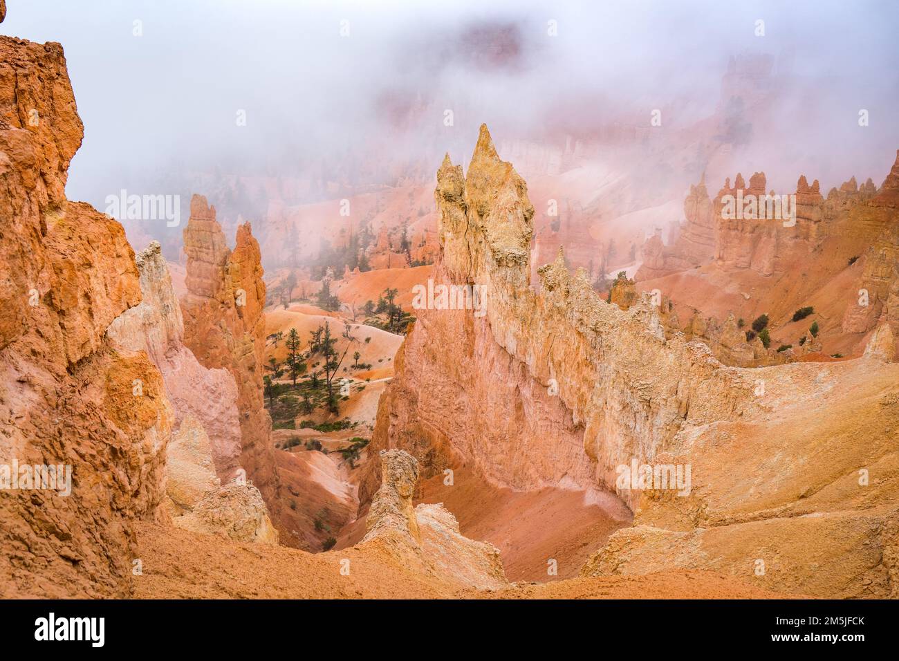 Fog usa canyon scenery hi-res stock photography and images - Alamy