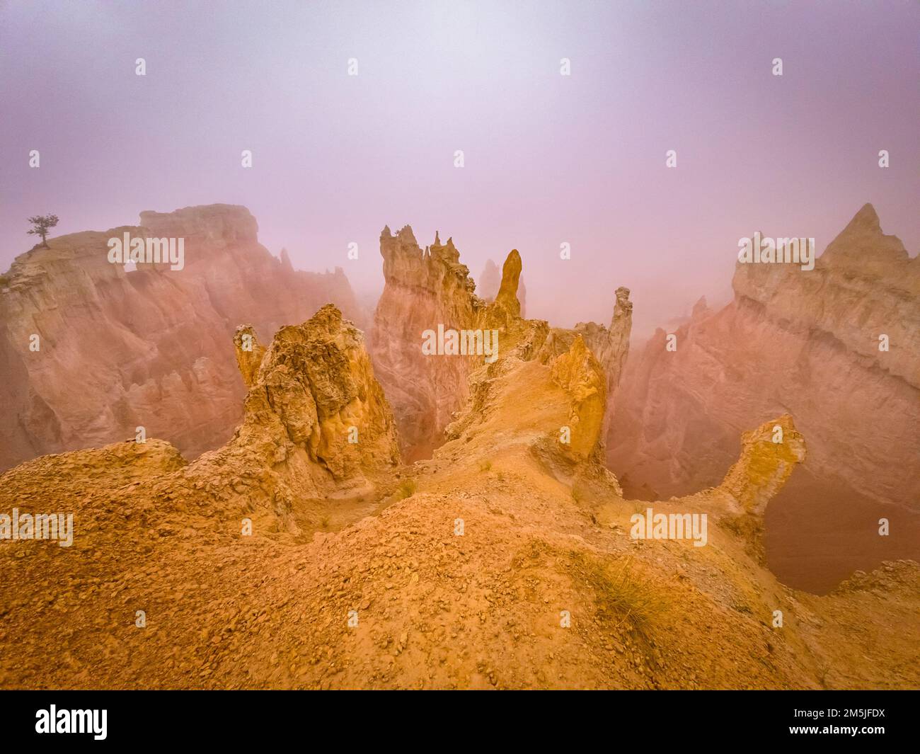 hoodoos of bryce canyon covered in fog Stock Photo - Alamy