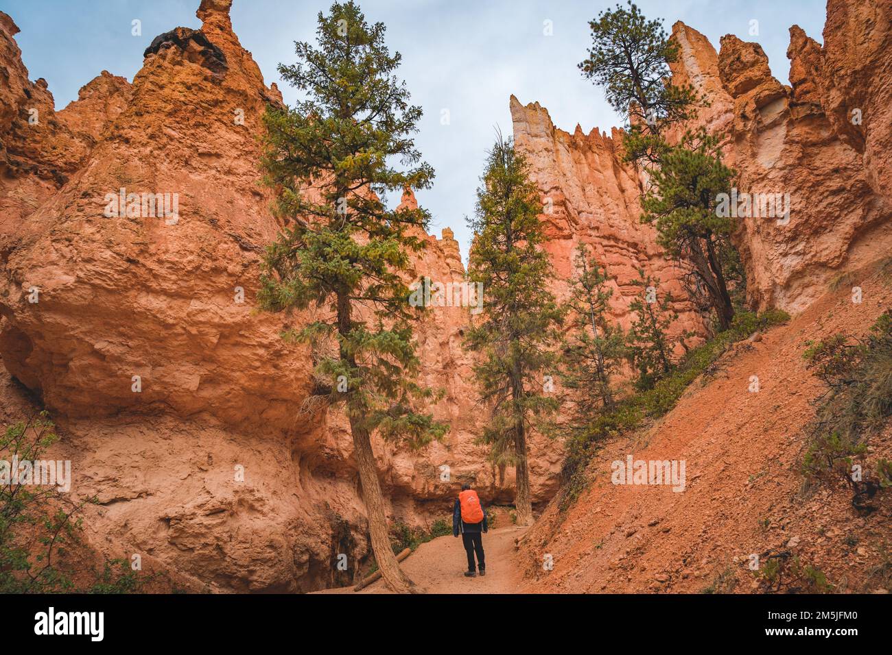 hiker on navajo loop trail at bryce canyon Stock Photo - Alamy