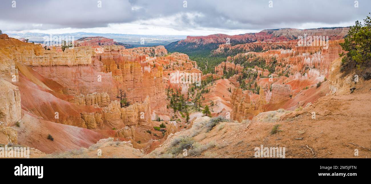 scenic panoramic overlook of bryce canyon at inspiration point Stock ...