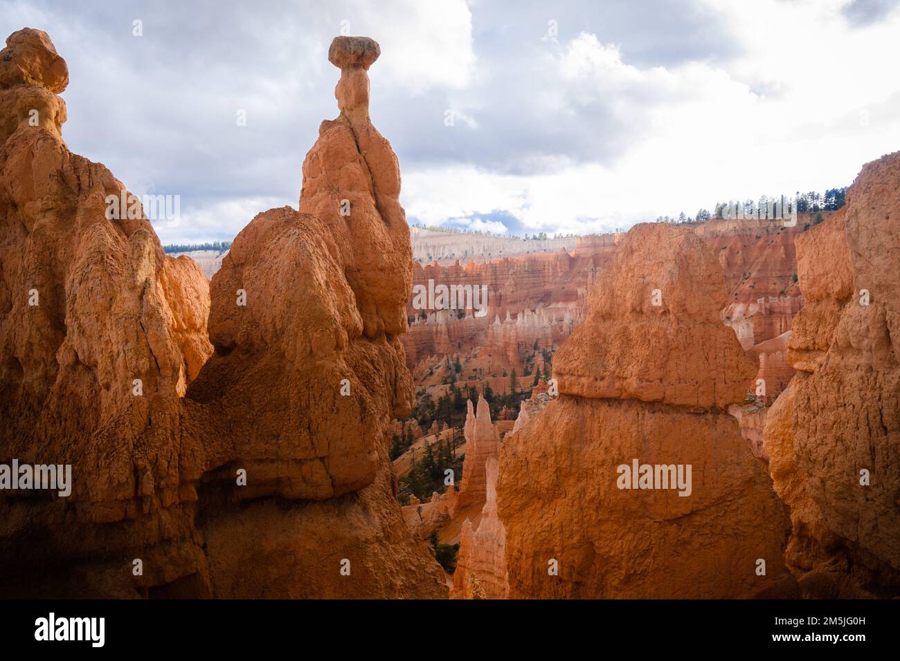 thor's hammer hoodoo close up shot at bryce canyon Stock Photo - Alamy