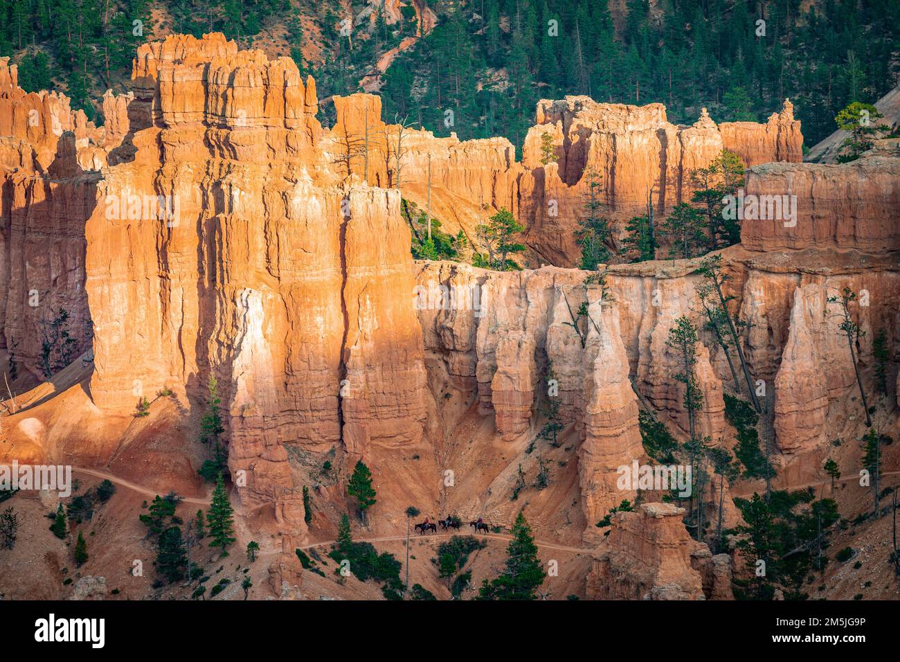 cowboys riding in canyon of bryce at sunrise Stock Photo - Alamy