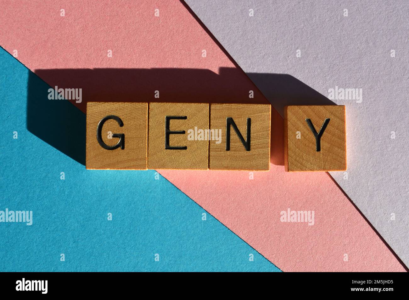 Gen Y, words in wooden alphabet letters isolated on pink, purple and ...