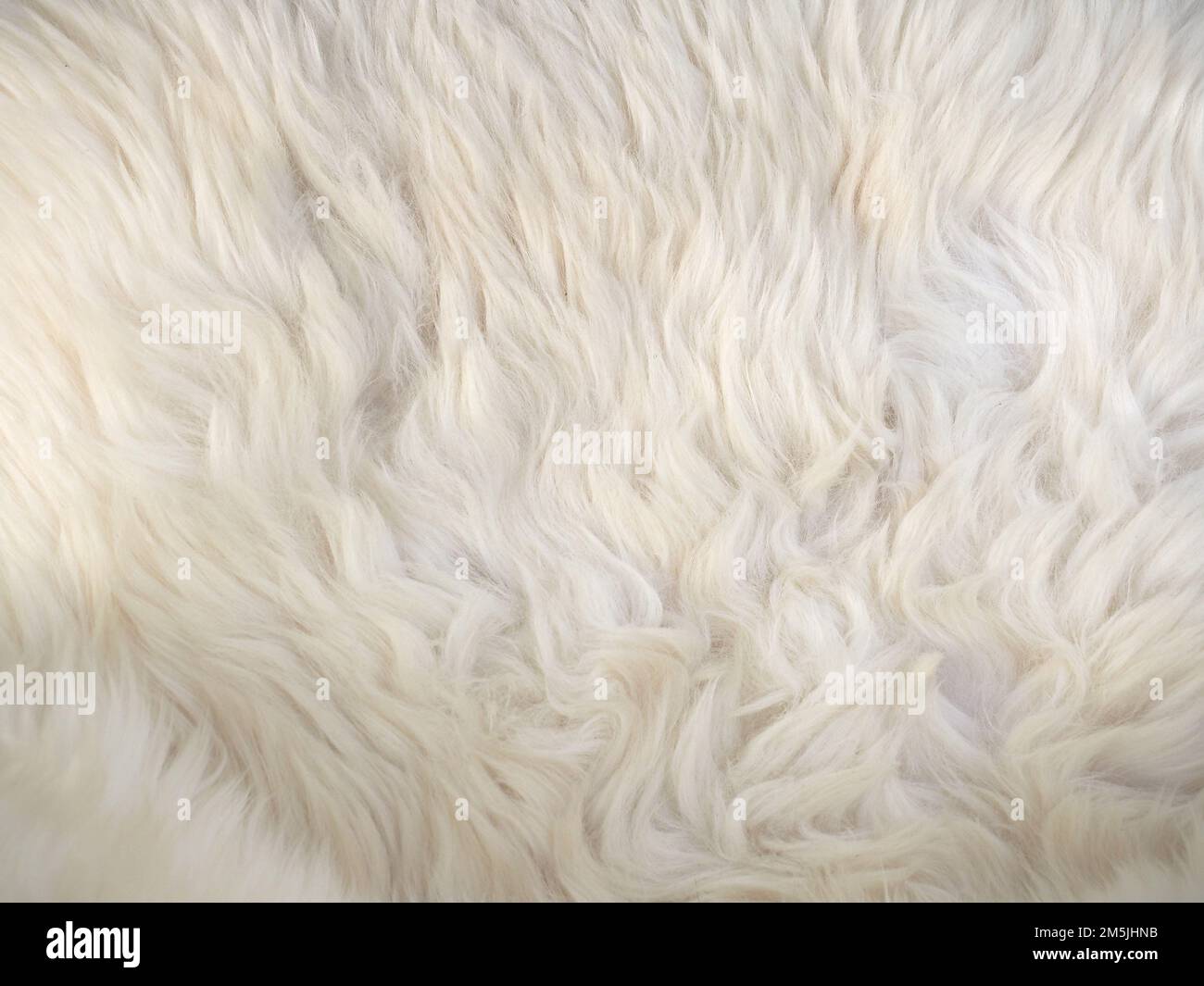 white wool fabric texture useful as a background Stock Photo - Alamy