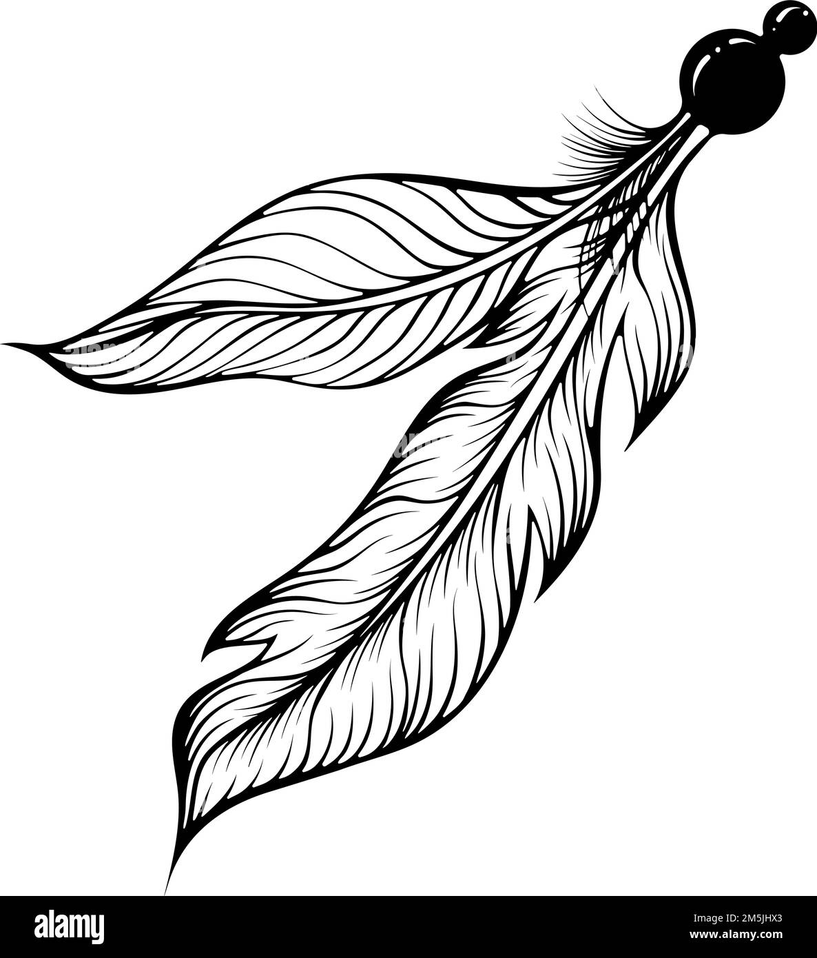 Bird feathers with a bead line art Stock Vector Image & Art - Alamy