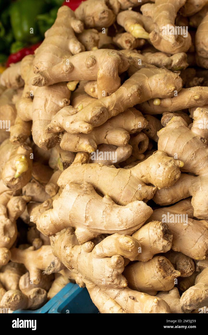 Gingembre zingiber officinale hi-res stock photography and images - Alamy