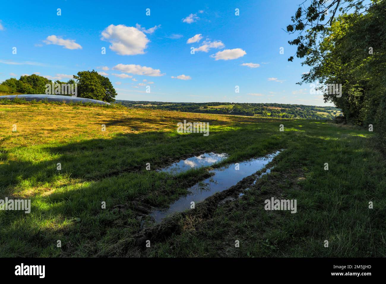 Glorious Kent farming landscape in sun, blue skies with cloud, and ...