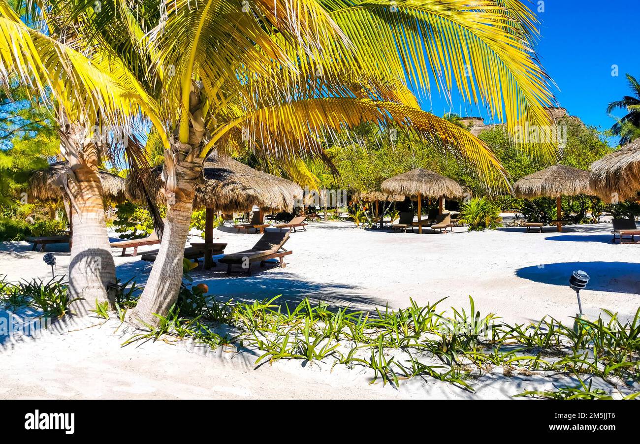 Resorts and landscape view with tropical nature on beautiful Holbox ...
