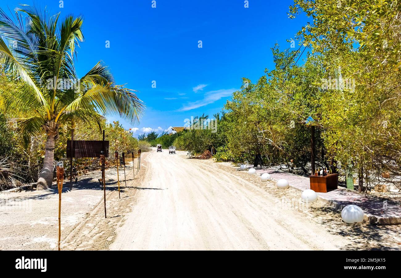 Sandy muddy road walking path and landscape view with tropical nature ...
