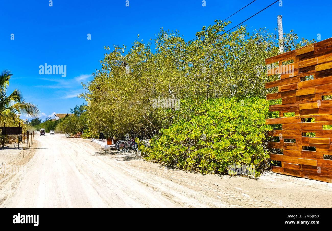 Sandy muddy road walking path and landscape view with tropical nature ...
