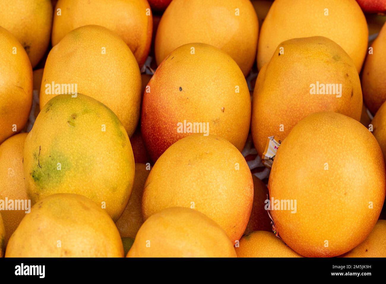 Enticing looking mangoes. Close up fruit portrait Stock Photo - Alamy