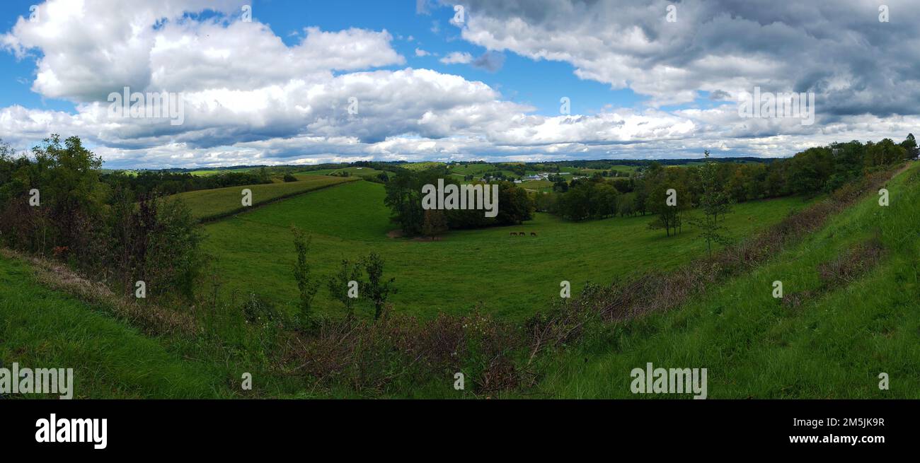 An aerial view of greenery field with dense trees Stock Photo - Alamy