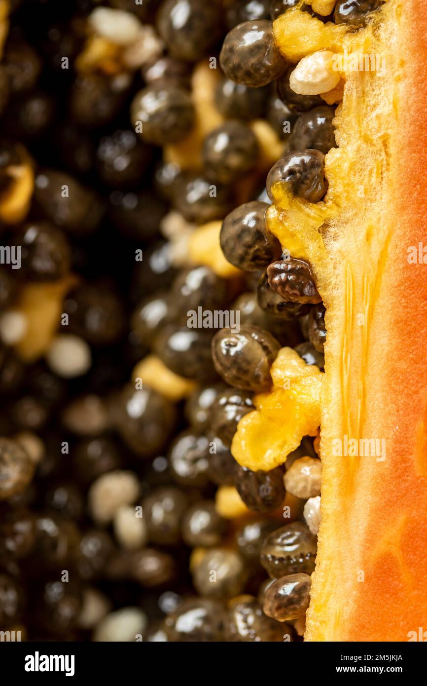 Very close up fruit portrait of Paw-Paw with seeds prominent (papaya ...