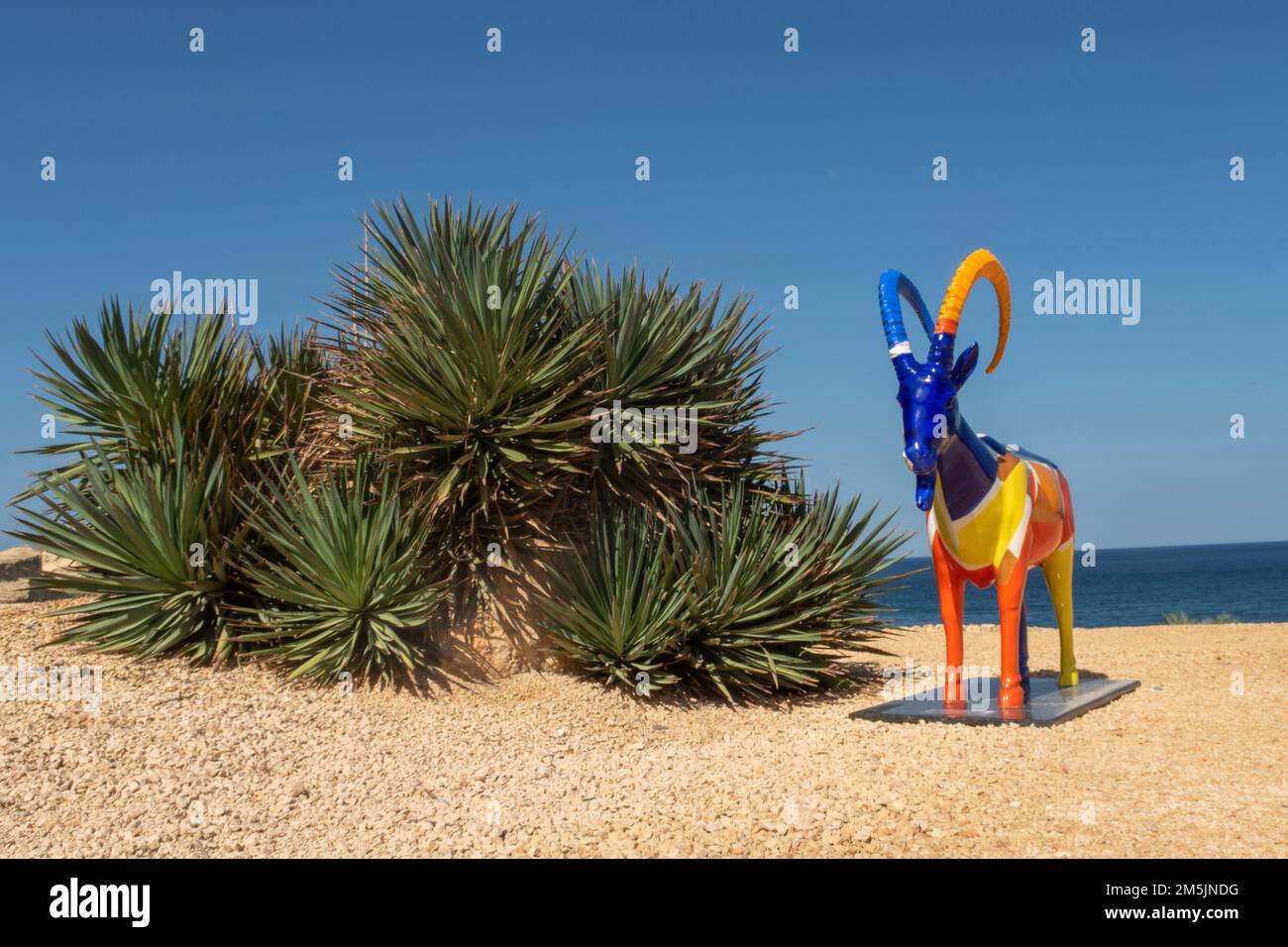 Multi colored goat hi-res stock photography and images - Alamy