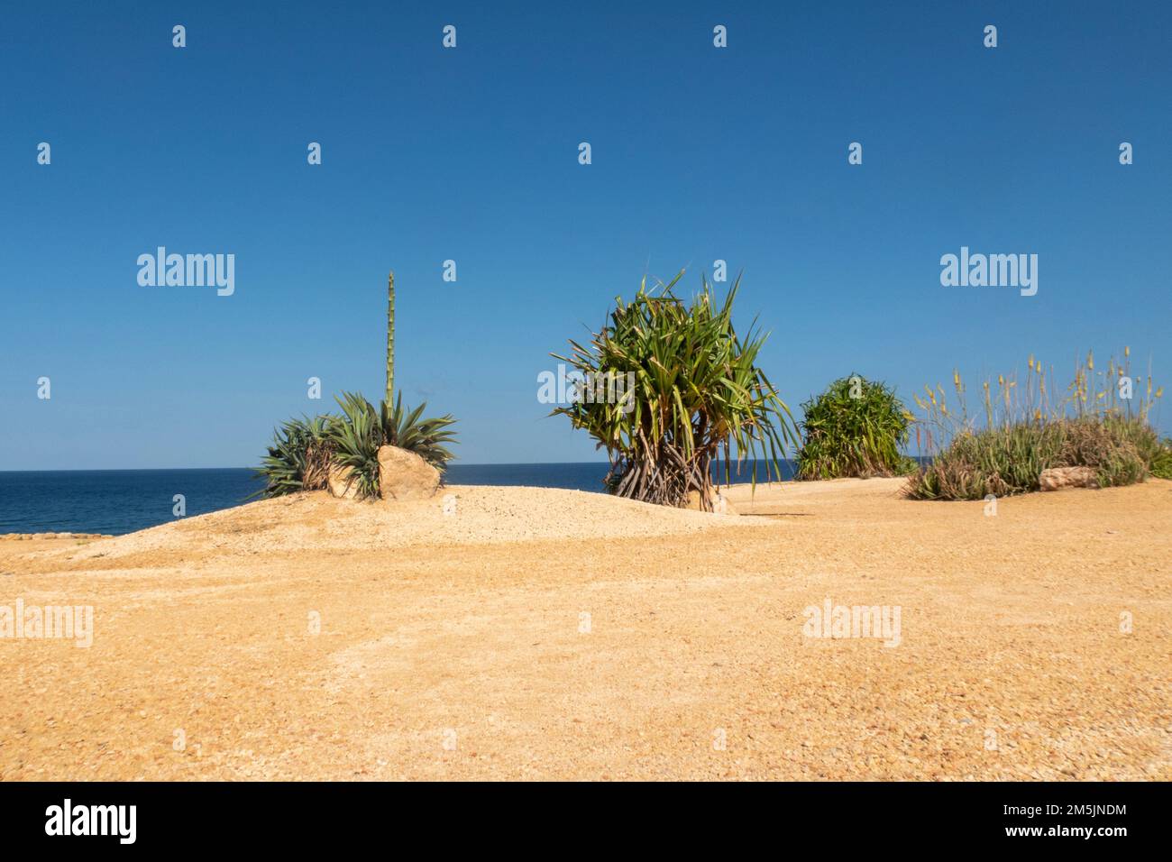 A beach in Muscat in Oman in the Middle East Stock Photo - Alamy