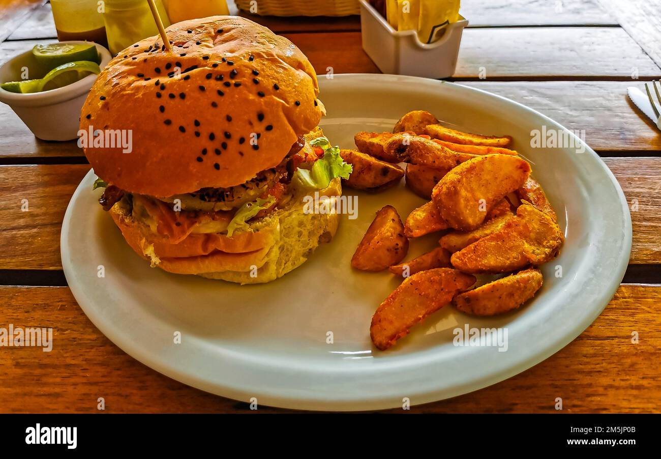 Chips maya hi-res stock photography and images - Alamy