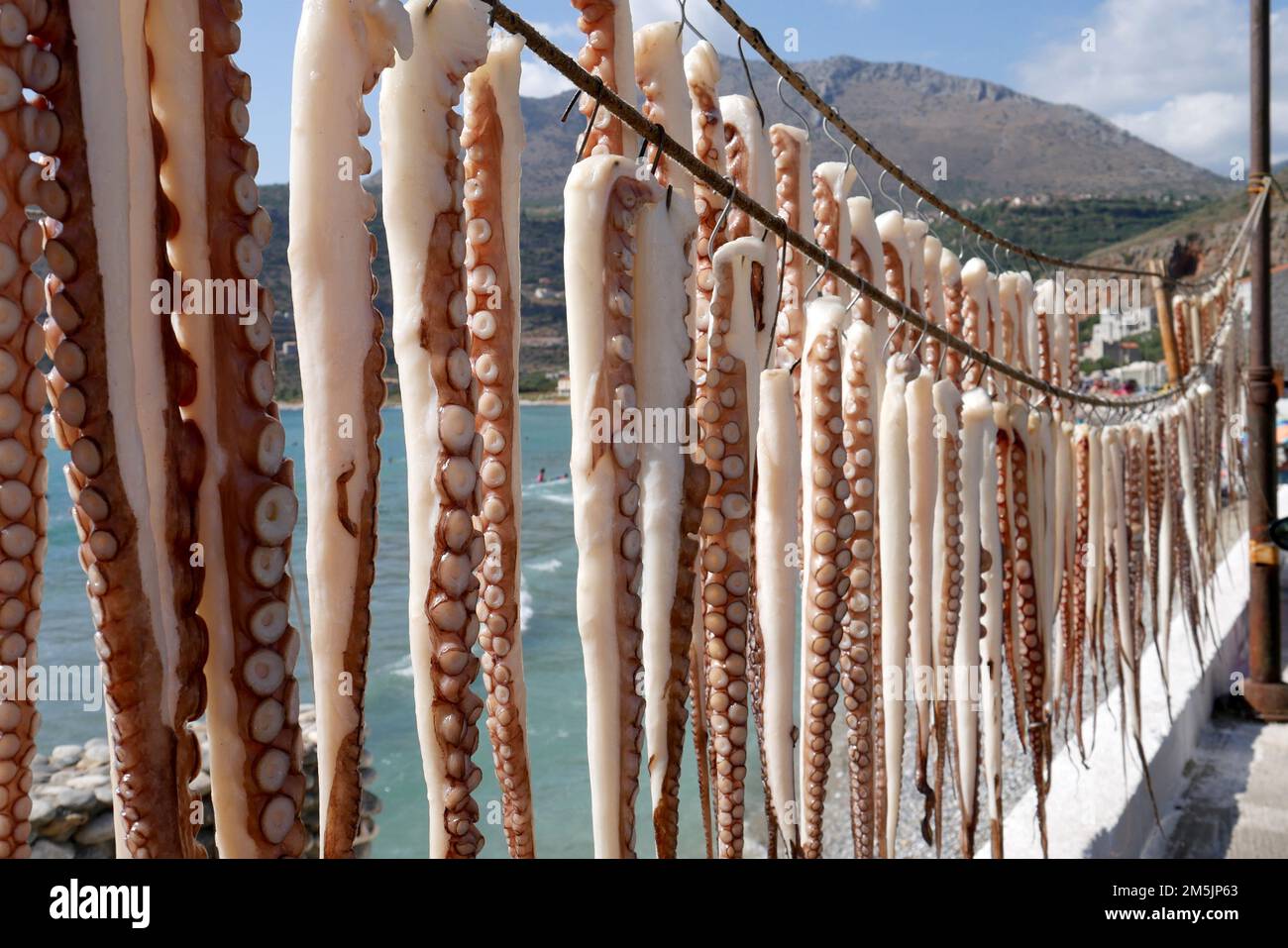 Octopus hanging to dry out in the sun, sea food, greece Stock Photo - Alamy