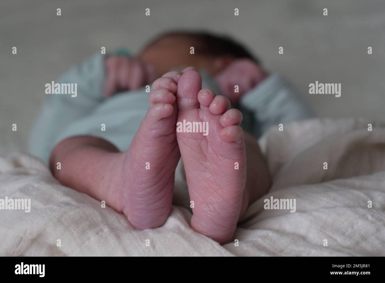 newborn baby feet Stock Photo - Alamy