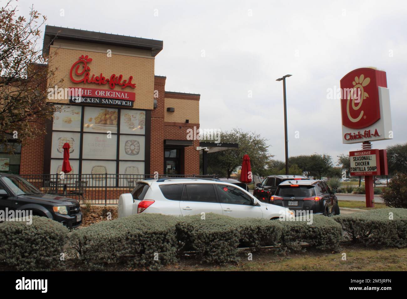 Chicken chick texas hi-res stock photography and images - Alamy