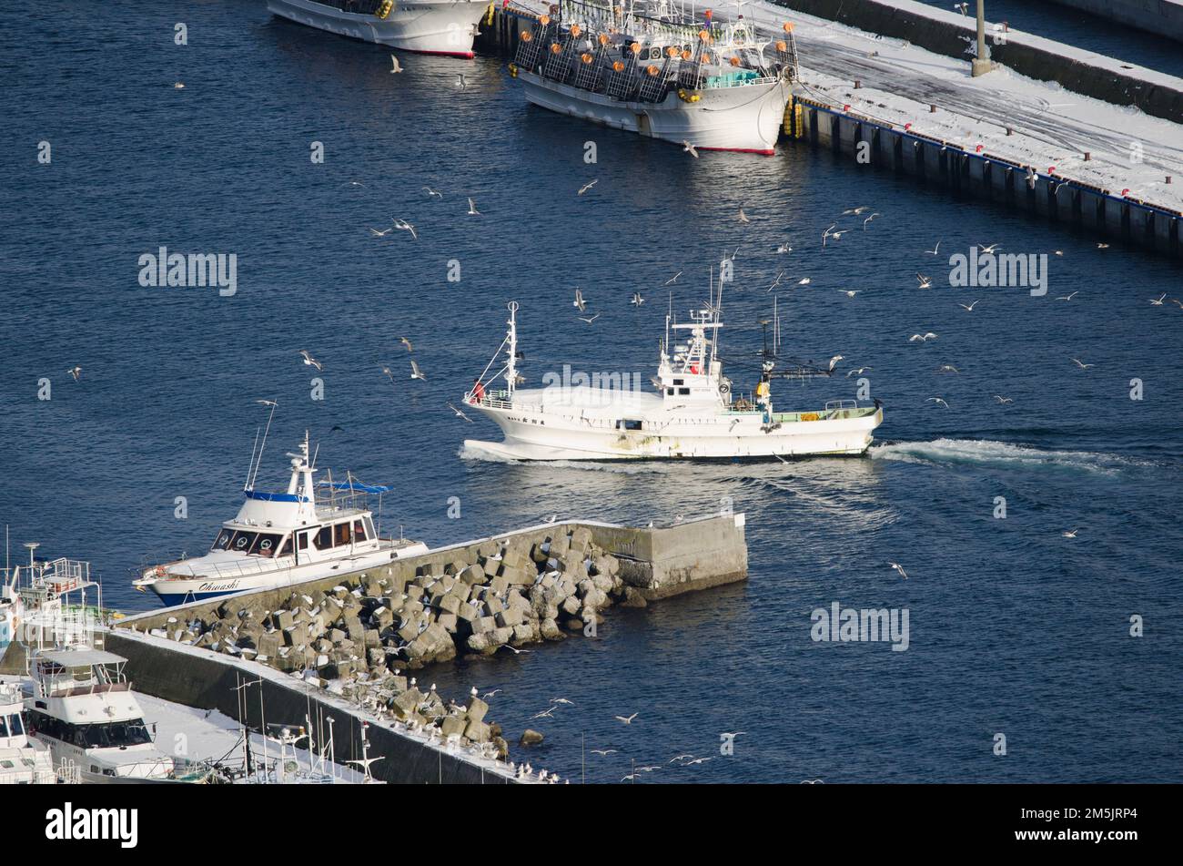Rausu, November 28, 2017: View of a fishing boat arriving at port ...