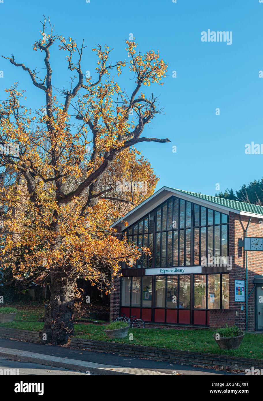 Biblioteca uk hi-res stock photography and images - Alamy