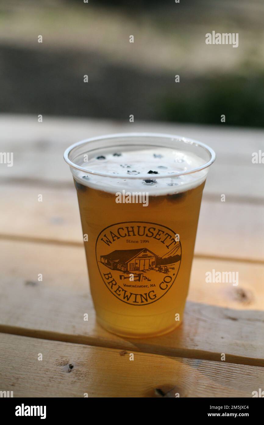 A vertical shot of Wachusett Brewing Company Blueberry Ale beer in ...