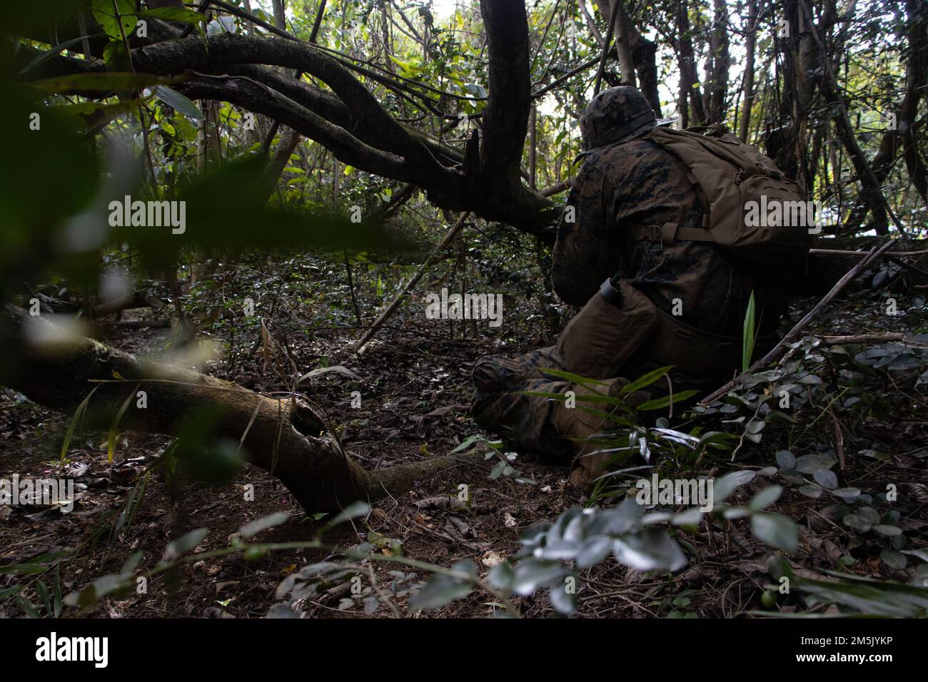 A U.S. Marine with Battalion Landing Team 1/5, 31st Marine ...