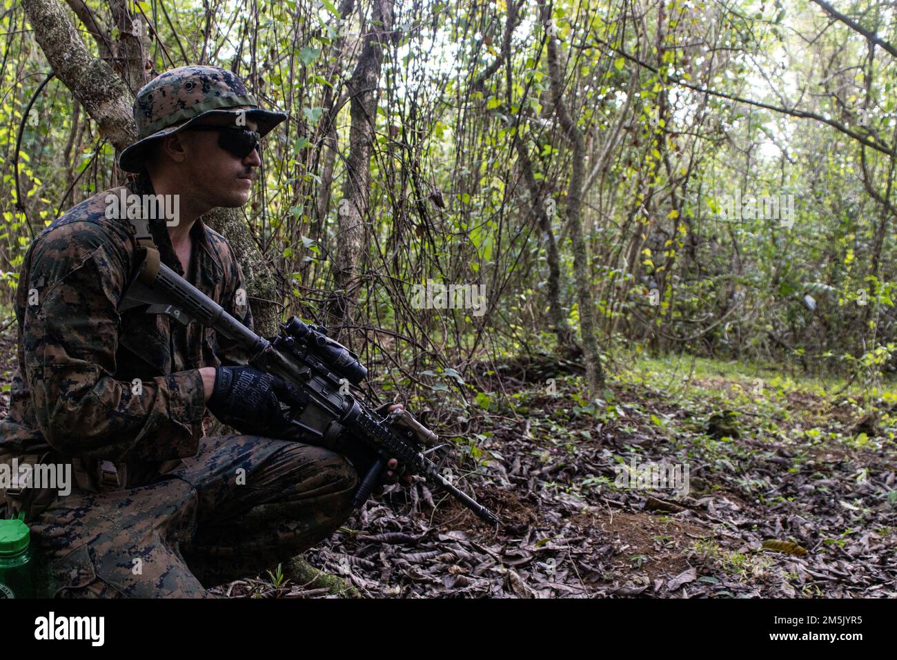 Mdx arbd hi-res stock photography and images - Alamy