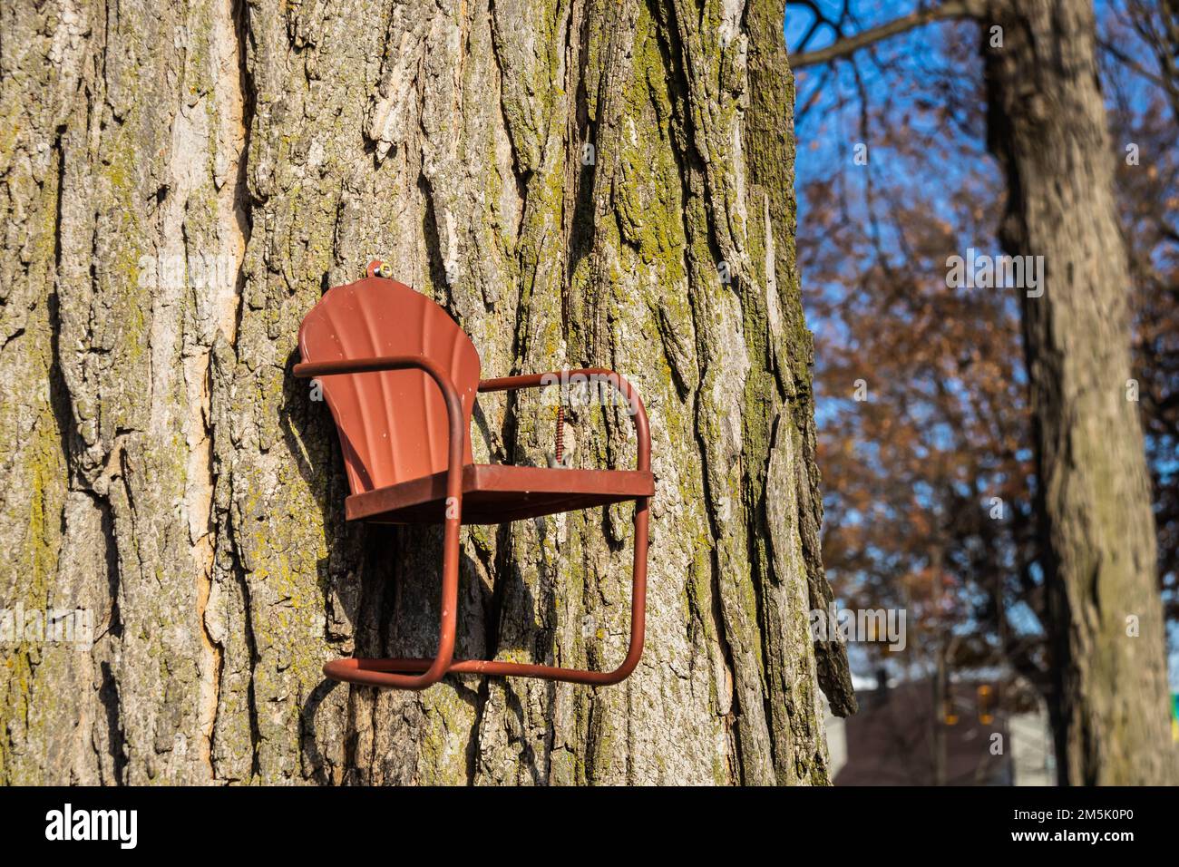 A small tree ornament of a chair on the side of a tree in sunlight ...