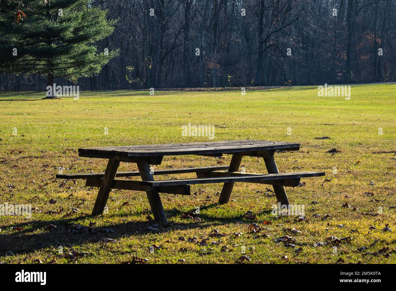 Old picnic tables in a park in the late fall with the sun casting ...