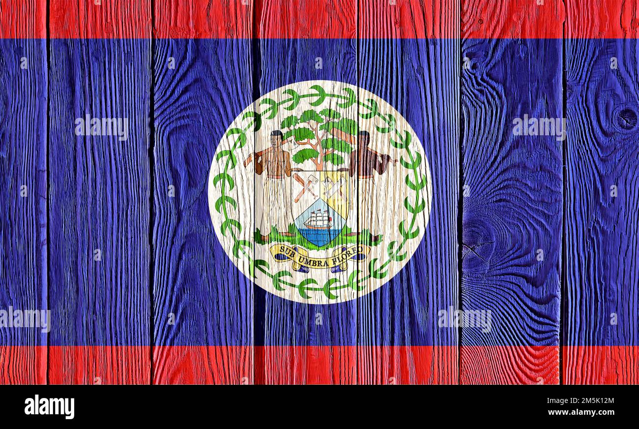 Belize flag painted on old wood plank background. Brushed natural light ...