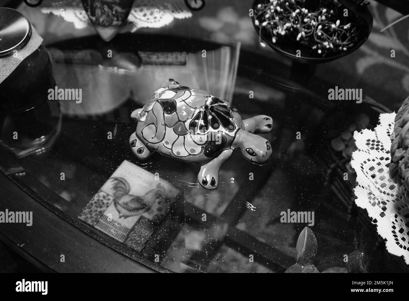 Turtle design Black and White Stock Photos & Images - Alamy