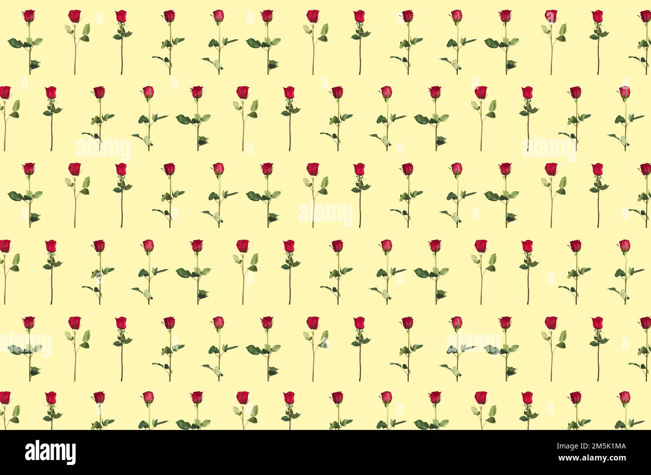 Valentine's Day. Flowers composition. Round frame made of rose flowers ...