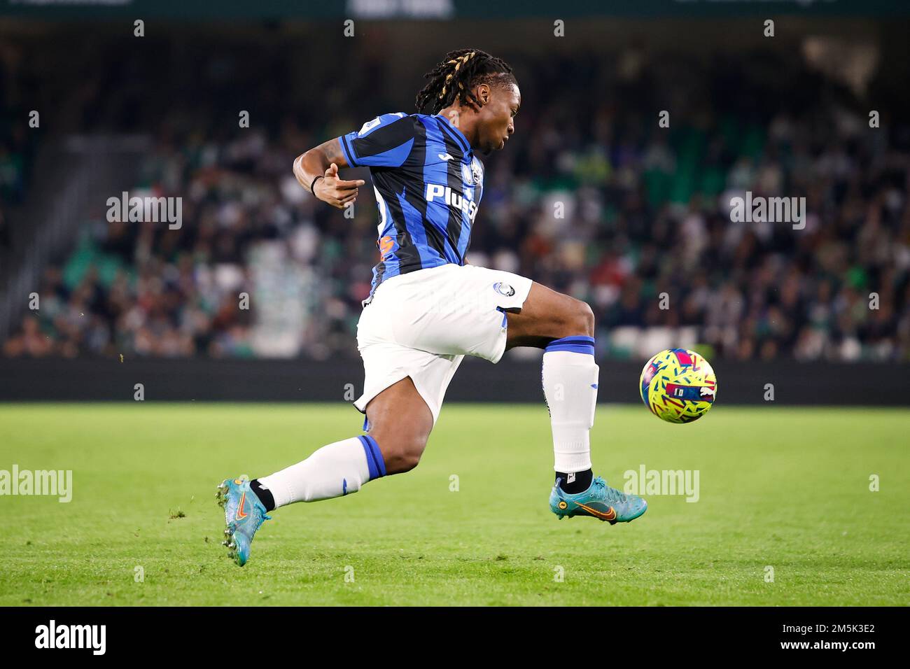 Brandon Gonzales 2022