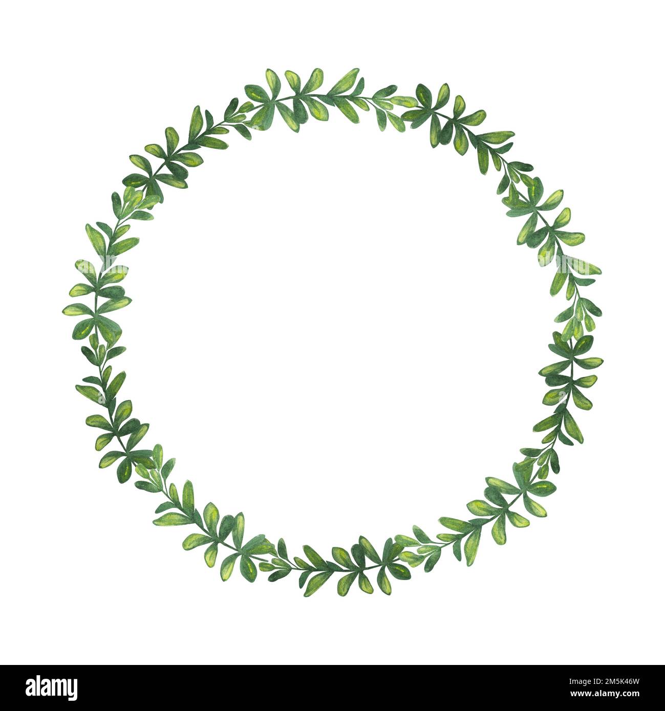 Doodle green foliage round frame. Hand-drawn watercolor illustration ...