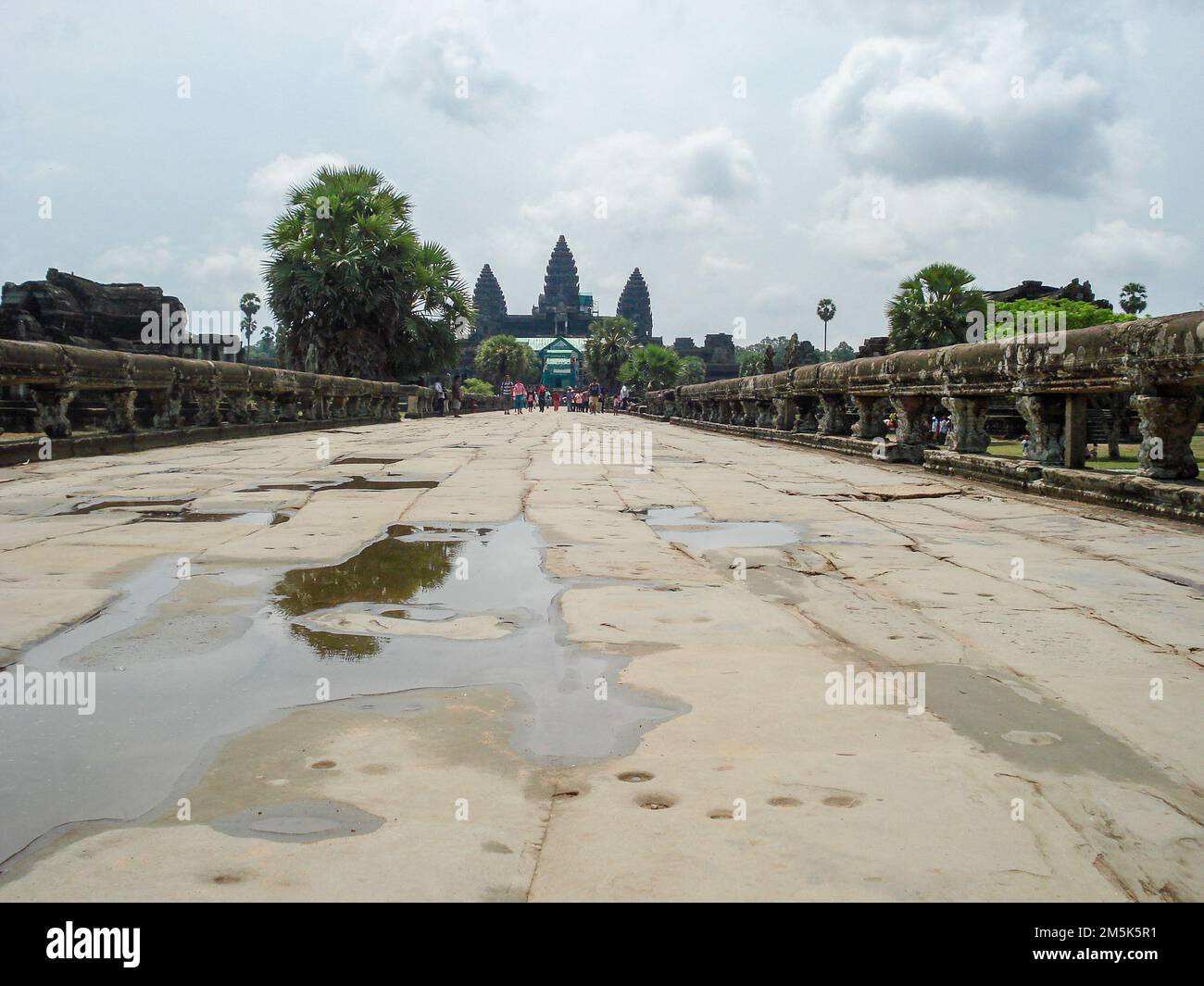 An image of a path with tourists, with Asian Palmyra palms on both ...