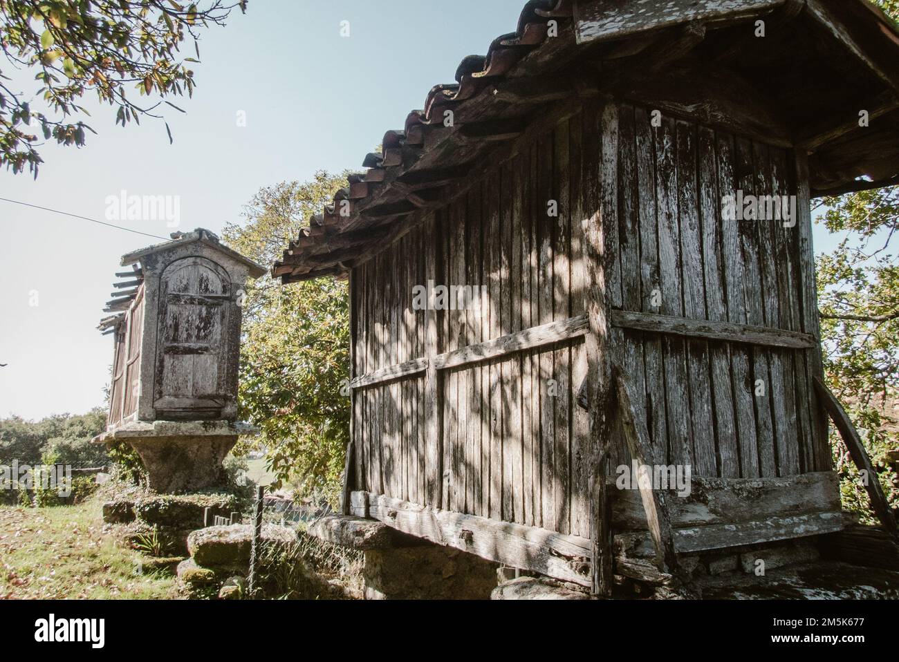 Two traditional granaries, so-called hórreos, next to the Way of St ...