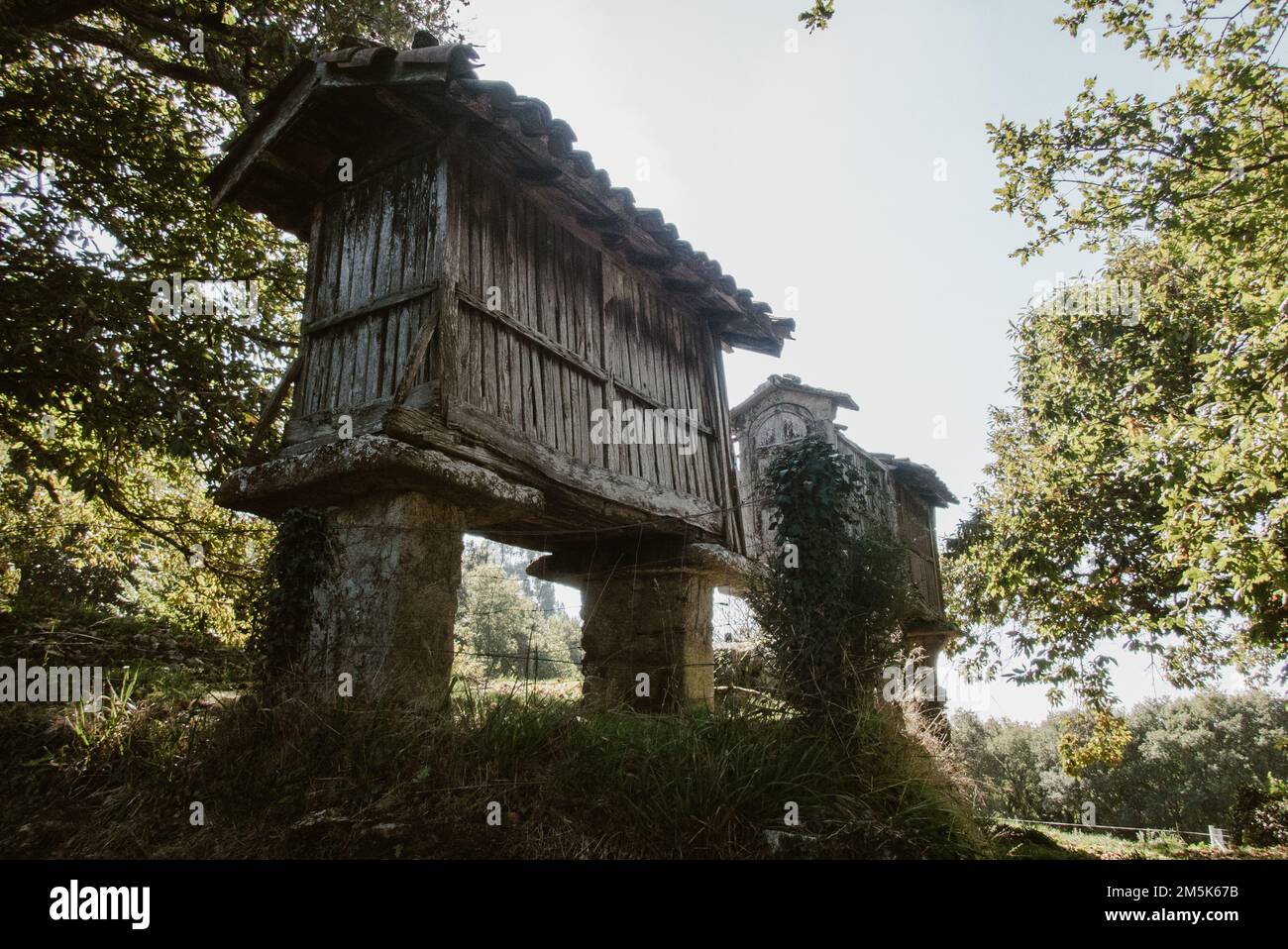 Two traditional granaries, so-called hórreos, next to the Way of St ...