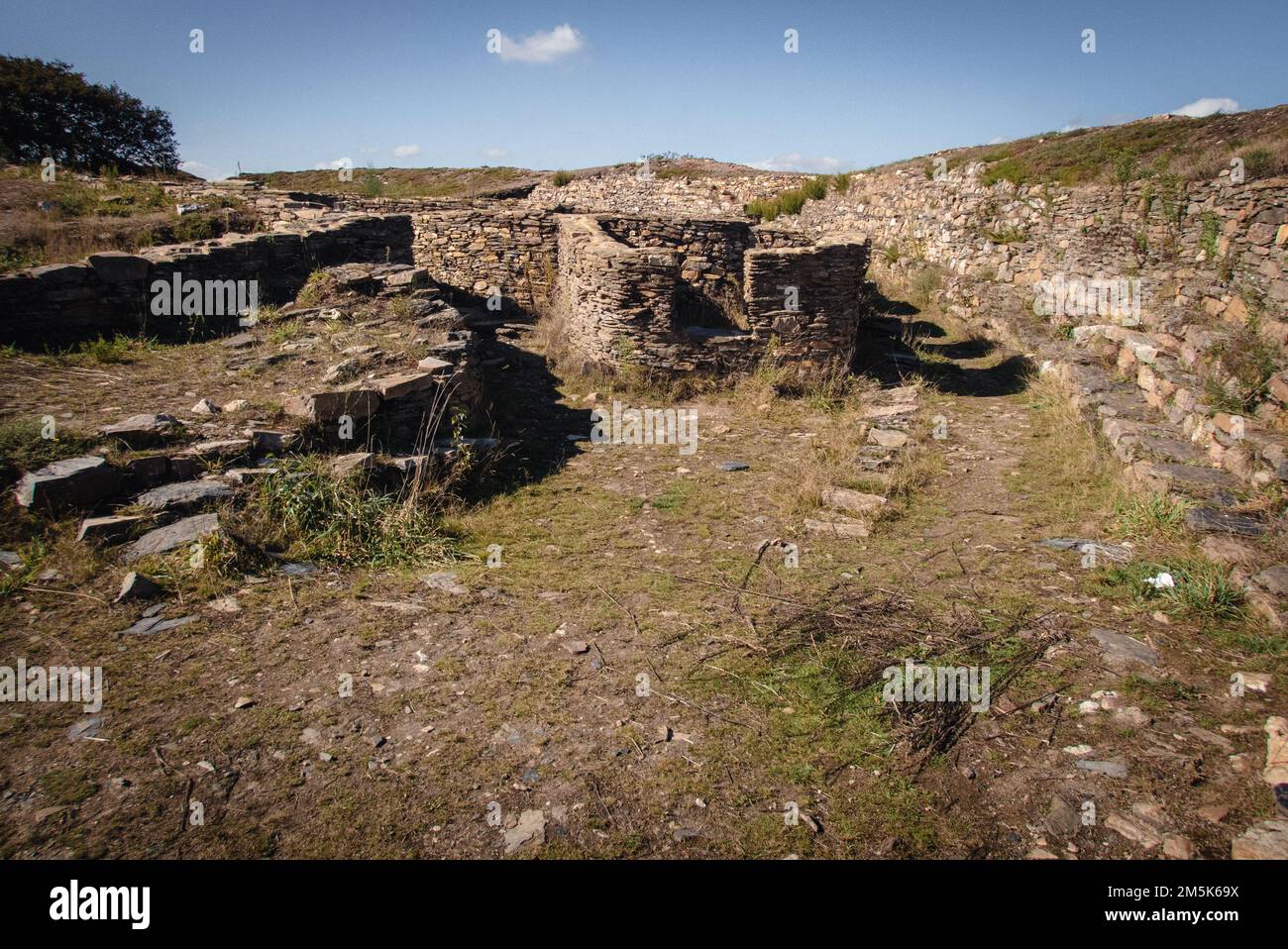 Archaeological research has revealed a large Celtic settlement within ...