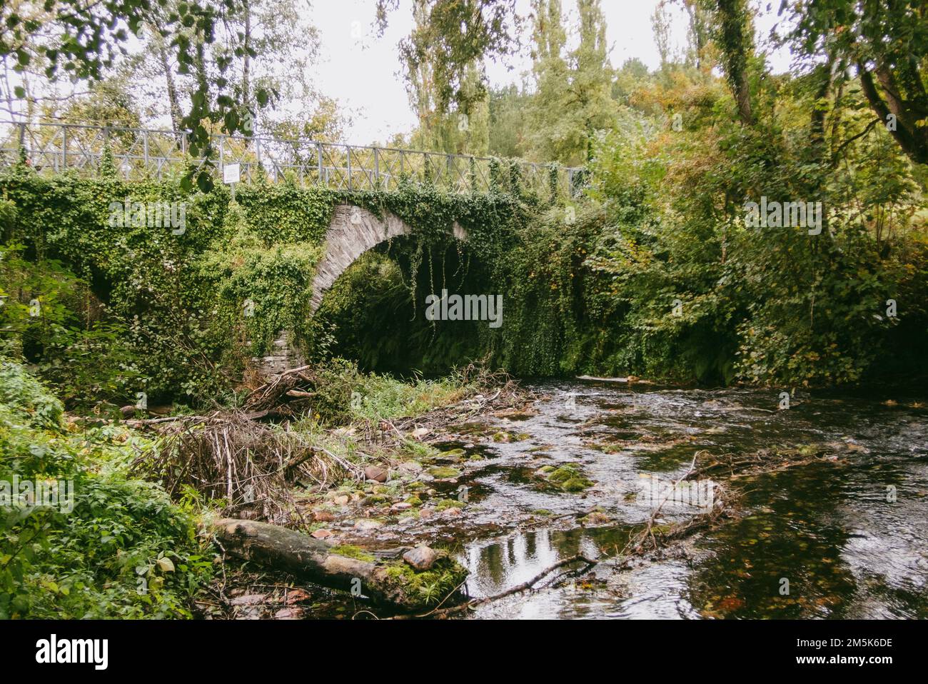 Enchanted way hi-res stock photography and images - Alamy
