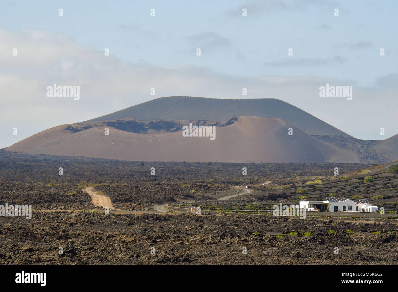 Vineyards in the volcanic rock in La Geria Stock Photo - Alamy
